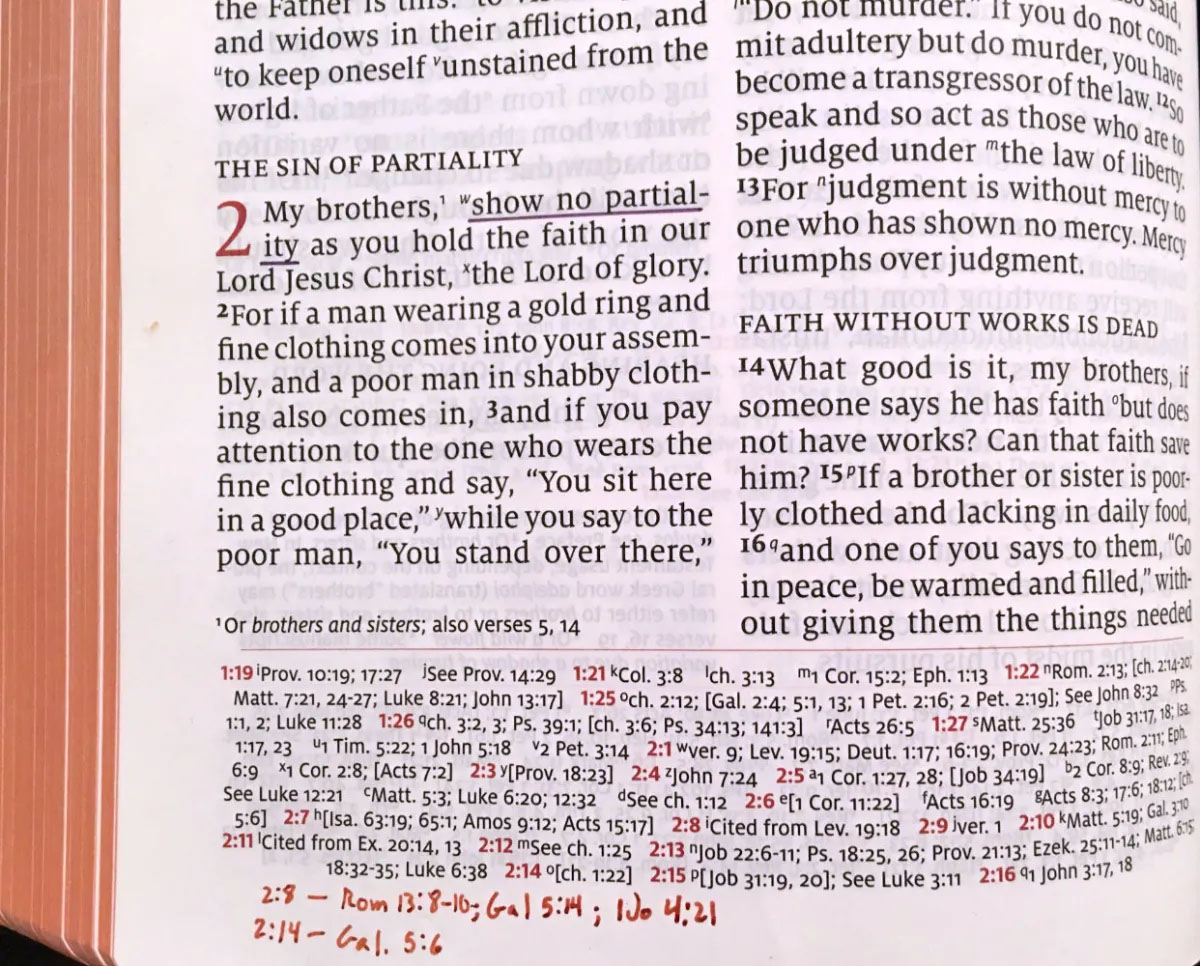 Build Your Own Bible: What is My "Dream Bible"? | The Official Scott ...