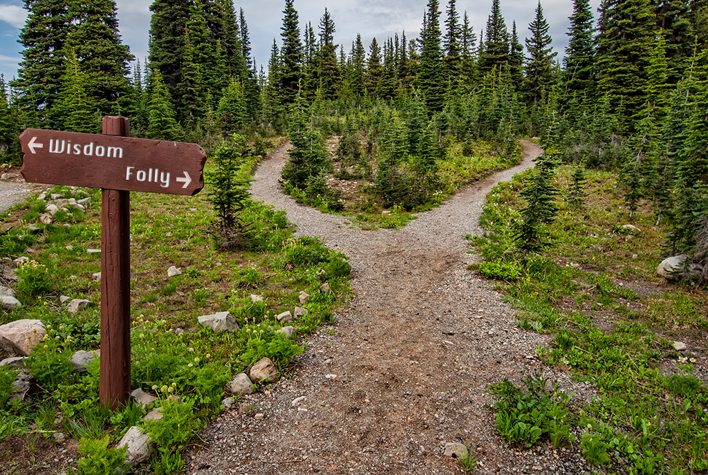 Wisdom & Folly - The Need for Discernment - The Official Scott Roberts ...