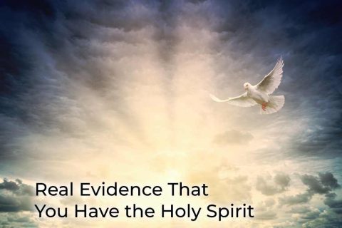 Real Evidence That You Have the Holy Spirit - The Official Scott Roberts Website